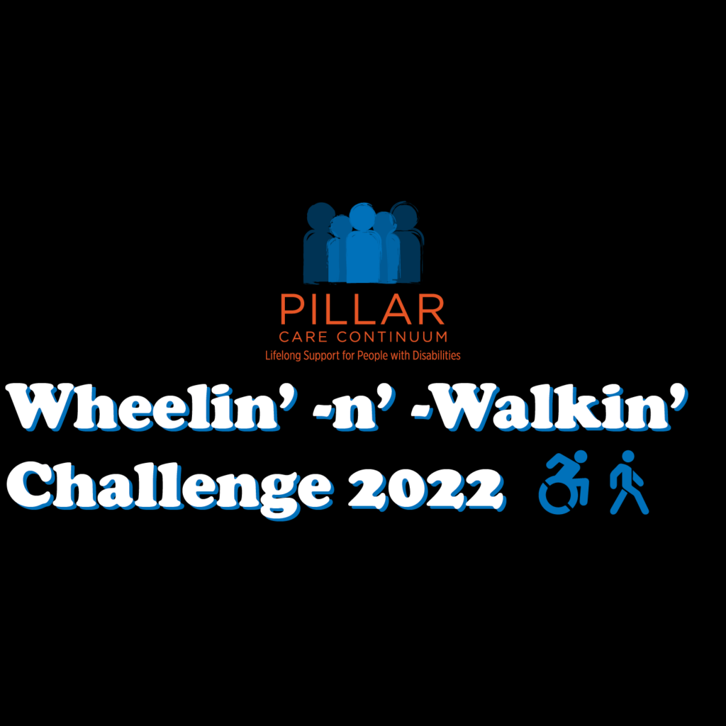 Pillar Schools